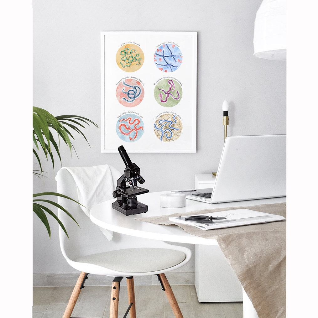 Disease Causing Filaria Collection, Parasite Science Art Print ...