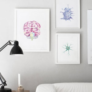 Human Brain Watercolor Painting Poster, Science Art, Biology Anatomy ...