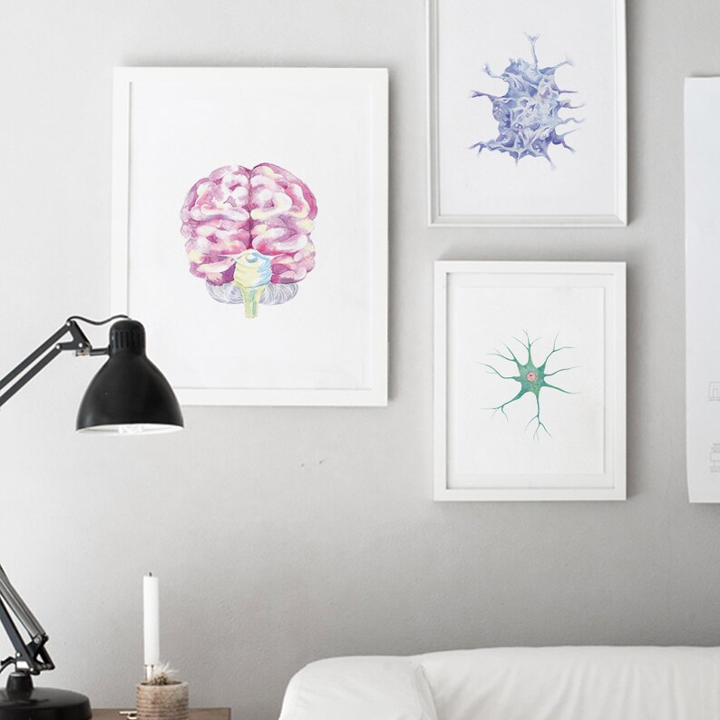 Human Brain Watercolor Painting Poster Science Art Biology - Etsy