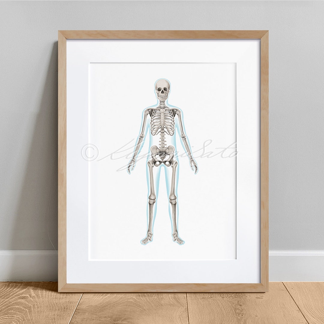 Skeletal System Art Poster, Science Art, Biology Watercolor, Human ...