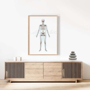 Skeletal System Art Poster, Science Art, Biology Watercolor, Human ...