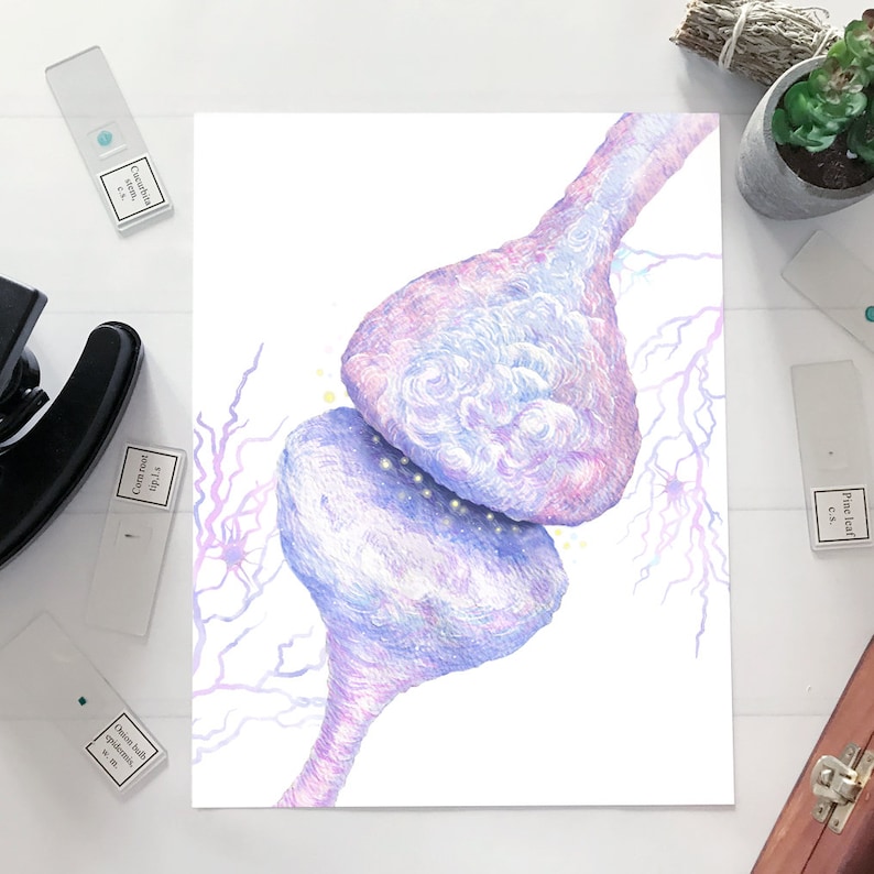 Synapse Science Art print Synaptic cleft Biology Poster wall | Etsy