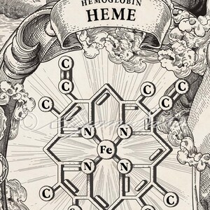 Blood, Heme, Hemoglobin, Chemical Structure Poster, Medieval Style ...