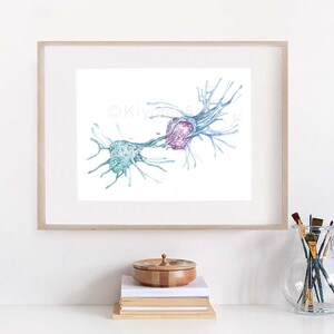 Two Natural Killer Cells Attacking Pathogen, Defensive Cells ...