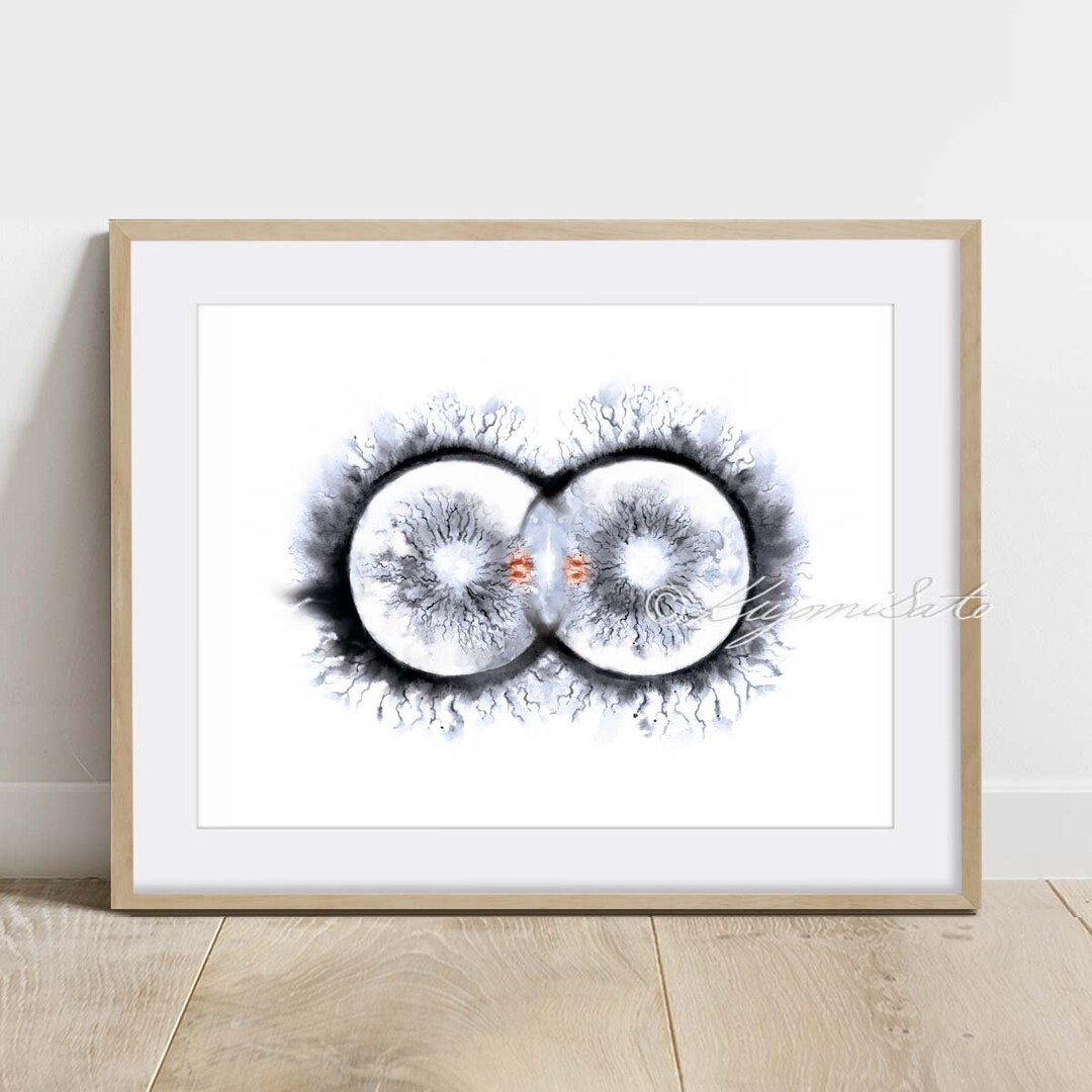 Cell Division Charcoal Painting Art Print, Science Art, Microbiology ...