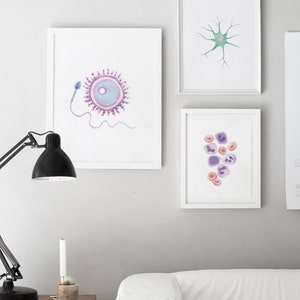 Reproductive Cells, Biology Poster, Cytology Art, Science Art Print ...