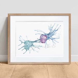 Two Natural Killer Cells Attacking Pathogen, Defensive Cells ...