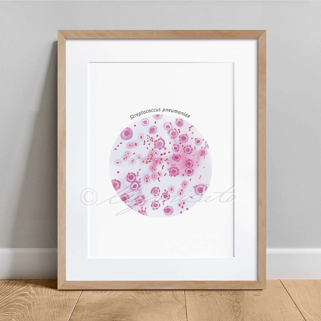 Bacteria Art Streptococcus Pneumoniae Poster, Microbiology Art Print ...