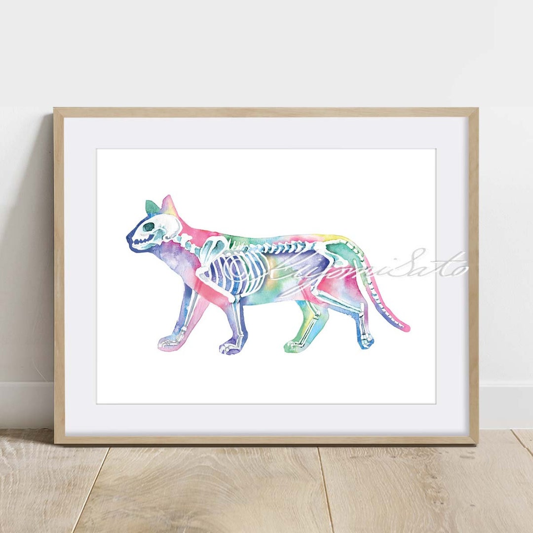 Cat Skeletal System Horizontal Art, Feline Veterinary Decor Print, Cat ...