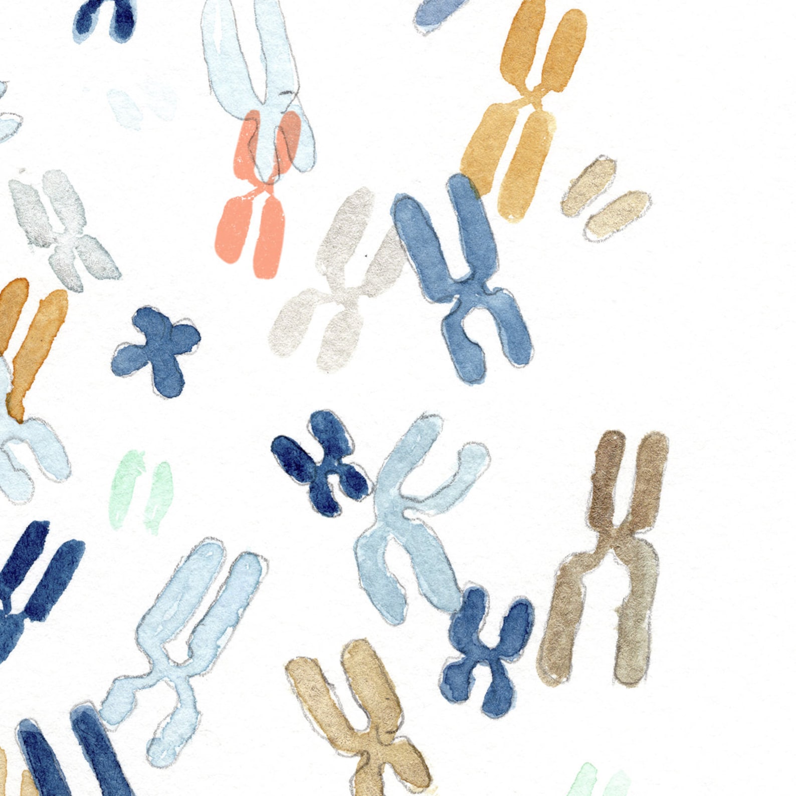 Chromosome Patterns DNA Genetics Biology Poster Science - Etsy