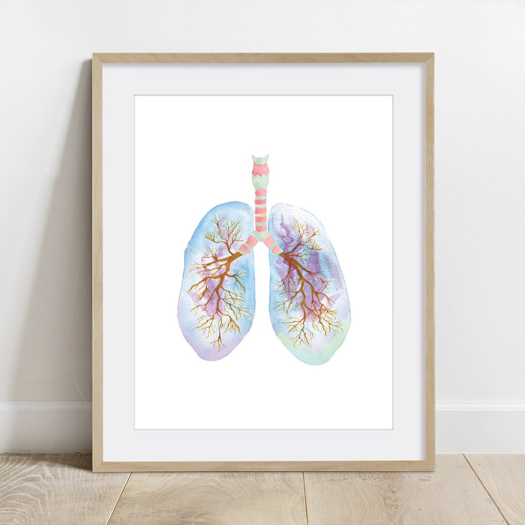 Human Lung Watercolor Painting Poster Science Art Biology - Etsy