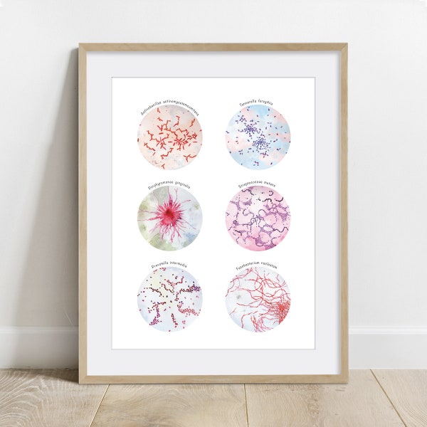 Bacteria Art - Etsy