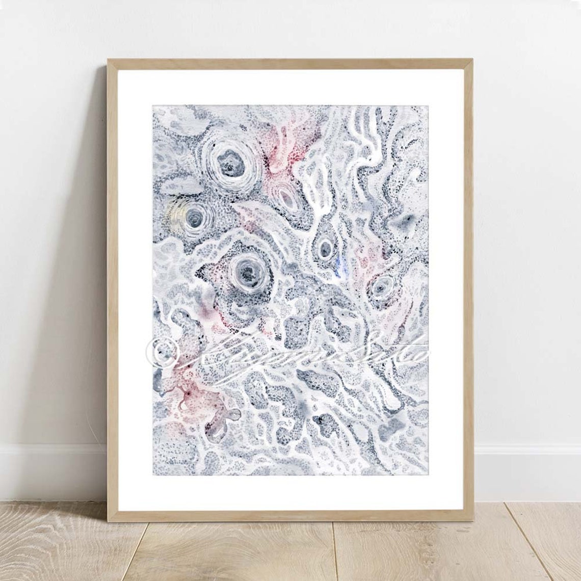 Squamous Cells in Dog Skin Histology Art, Veterinary Histology Art, Dog ...
