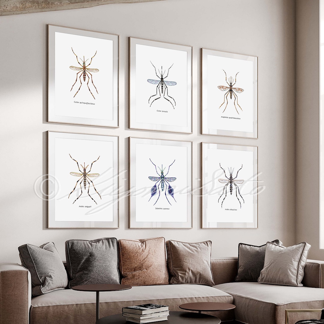 Mosquito Poster Set of 6, Mosquito Gallery Art Set, Mosquito Parasite ...