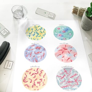 Waterborne Pathogens Collection, Science Art Poster, Microbiology Wall ...