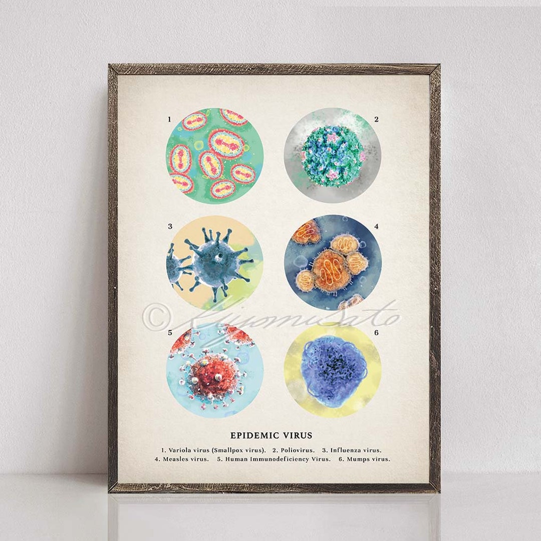 Epidemic Virus Collection Print, Old Academia Style Science Art Poster ...