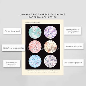 UTI Causing Bacteria Collection, Vintage Style, Microbiology Poster ...