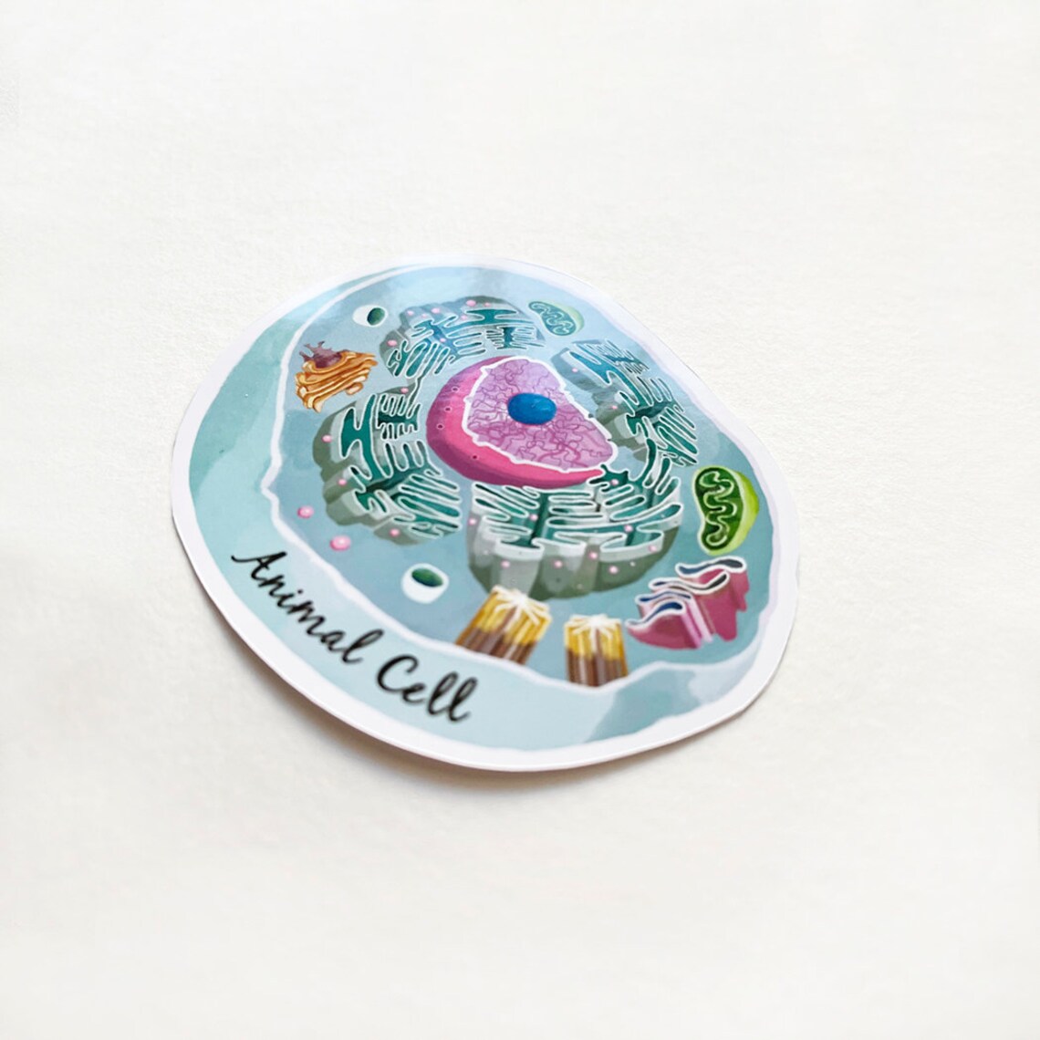 Animal Cell Cross Section Vinyl Sticker Unique Science Decal | Etsy