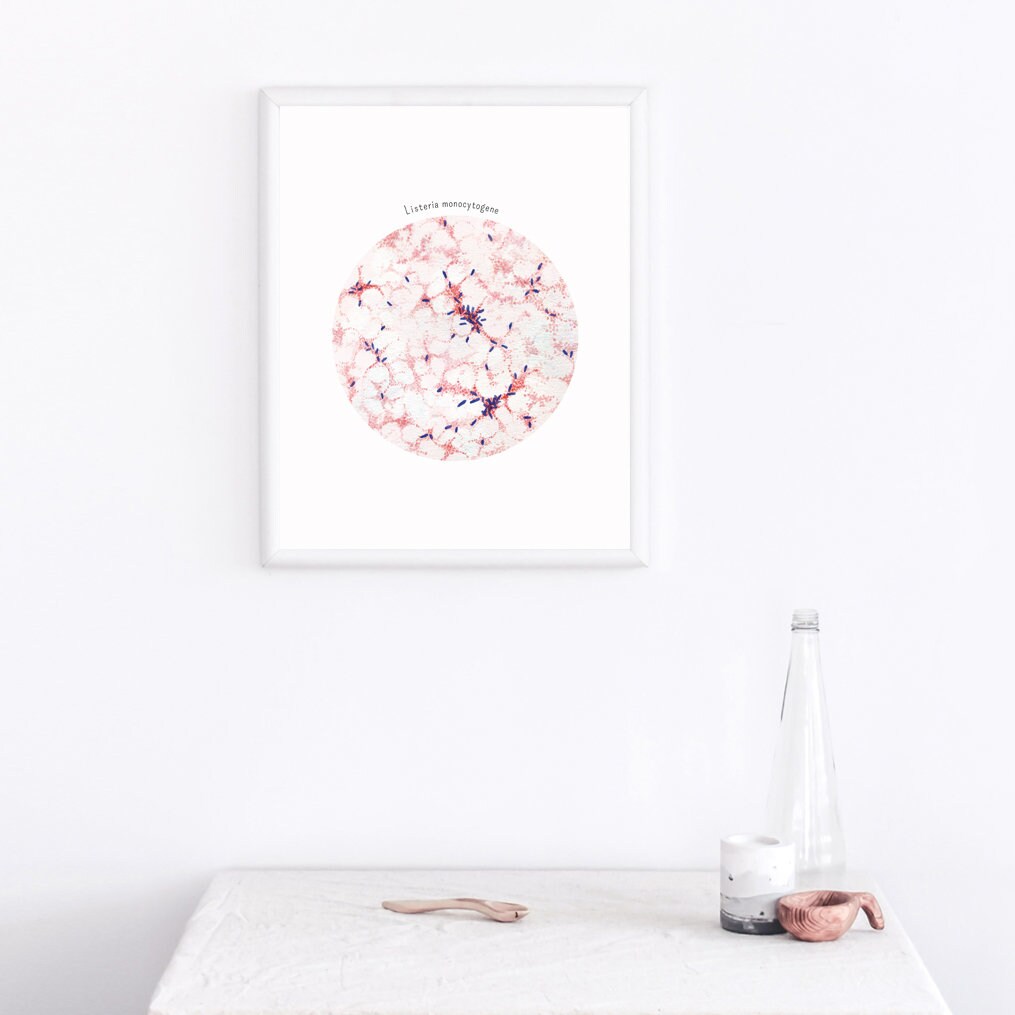 Listeria Monocytogenes Science Art Print Bacteria Poster | Etsy