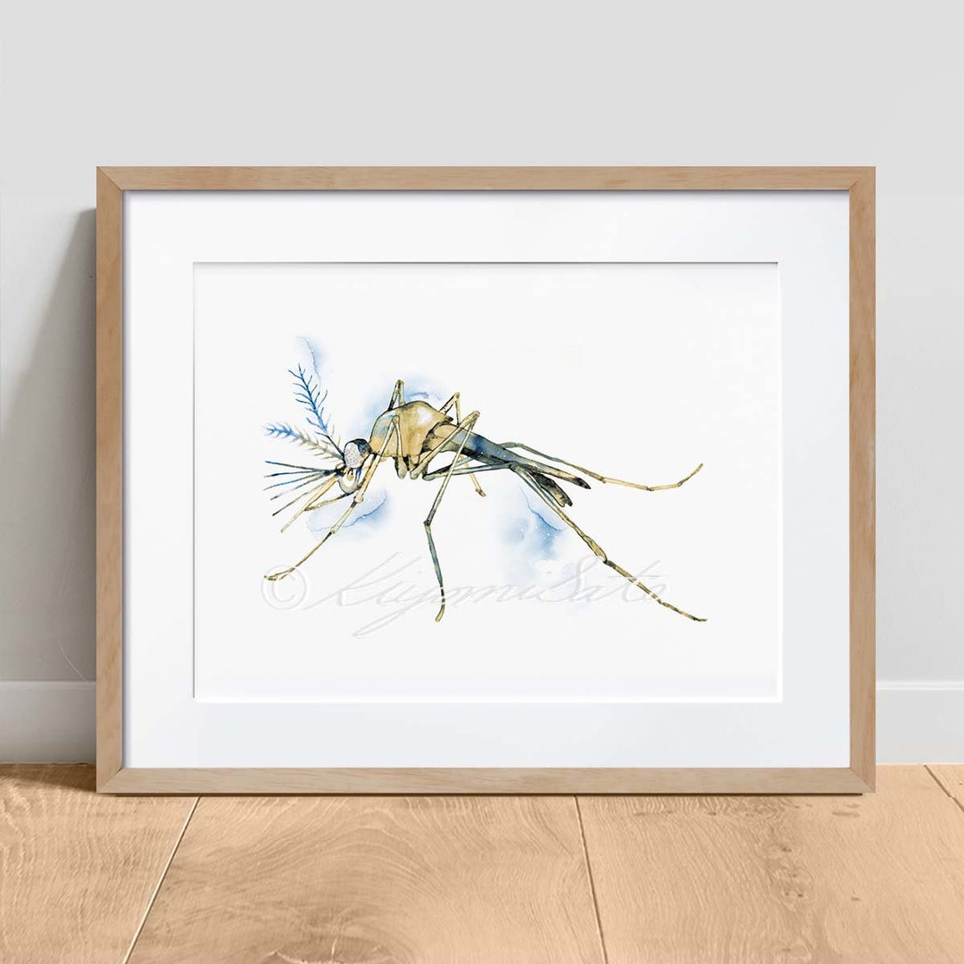 Mosquito Side View Poster Horizontal, Mosquito Lateral View Science Art ...