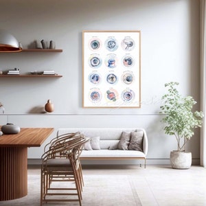 Immune System Collection Art Print, Immunology Poster White Blood Cell ...