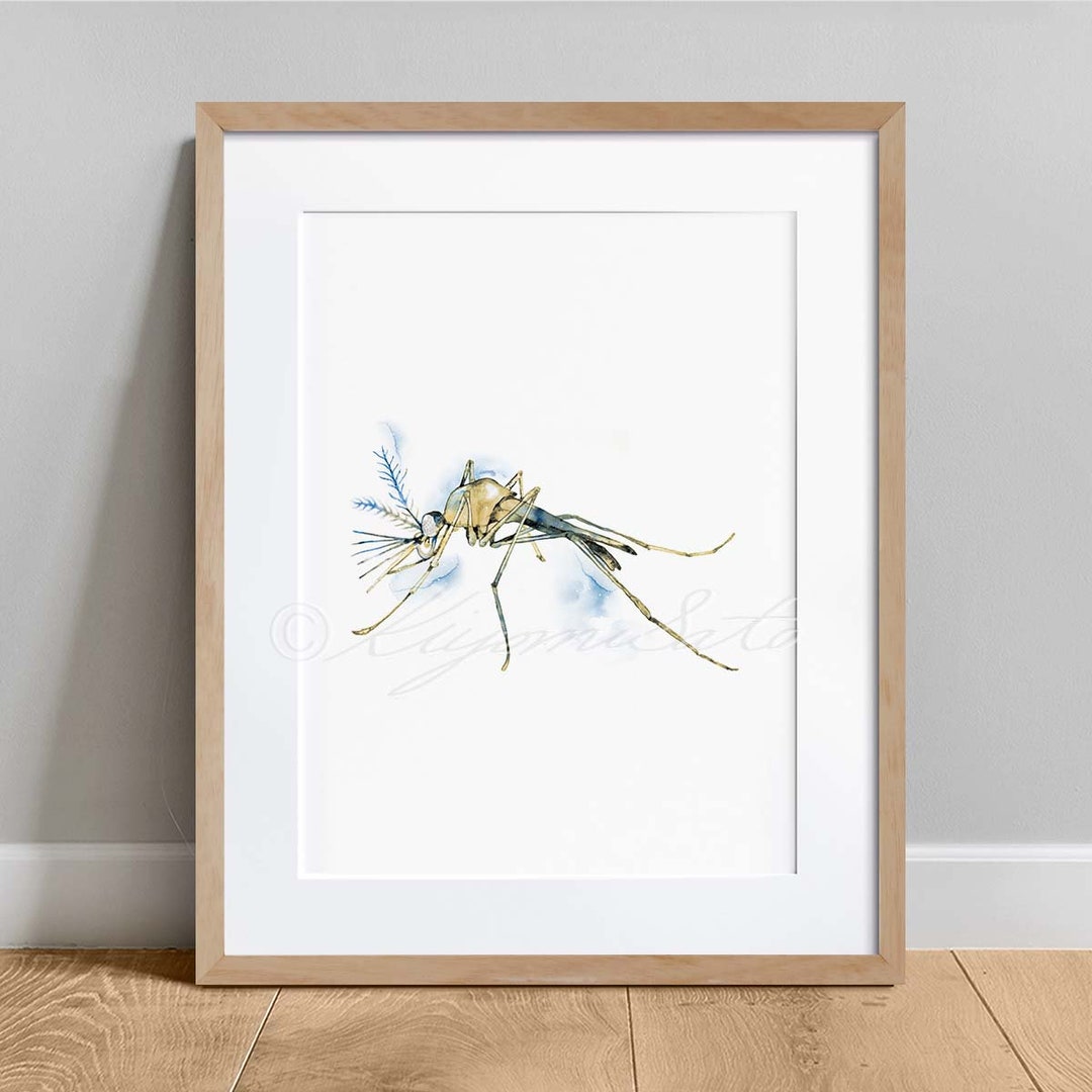 Mosquito Side View Poster, Mosquito Lateral View Science Art, Biology ...