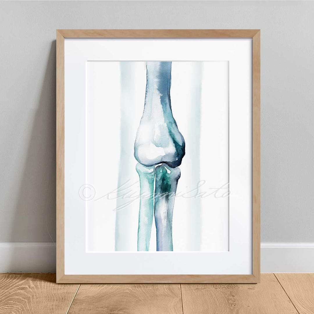 Elbow Joint Anterior View Abstract Art Poster, Hand Anatomy Wall Decor ...