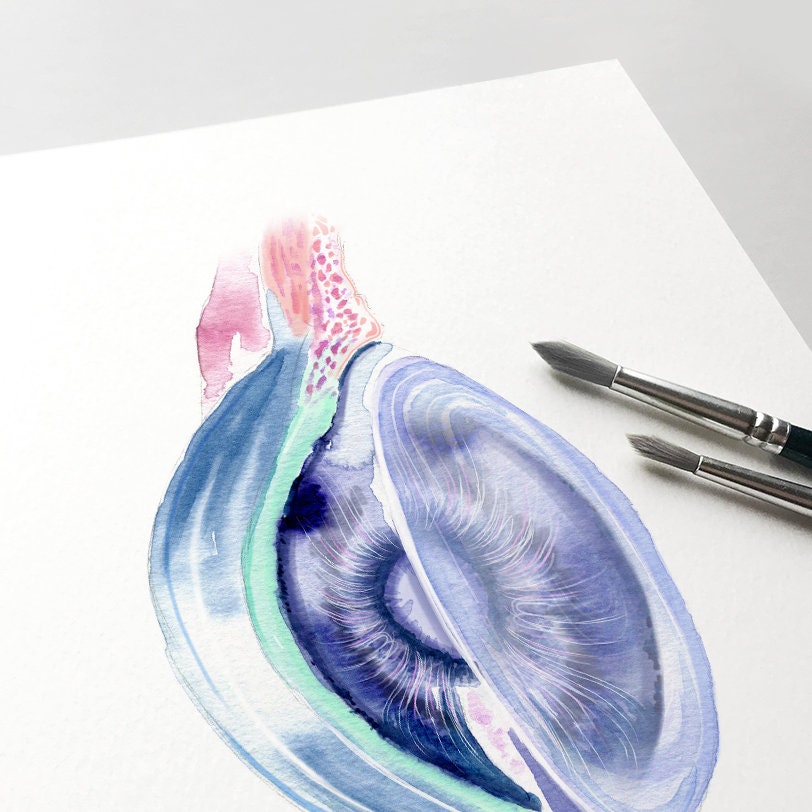 Eye Lens Poster Optometry Science Art Print Ophthalmology - Etsy