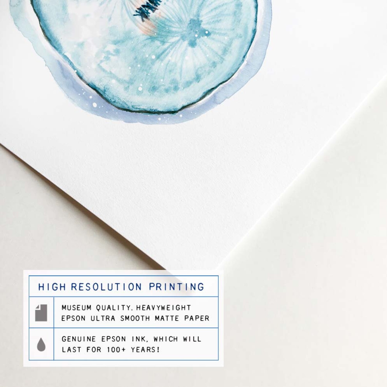 Mitosis 6 Print Set Biology Art Poster Science Art Gift | Etsy