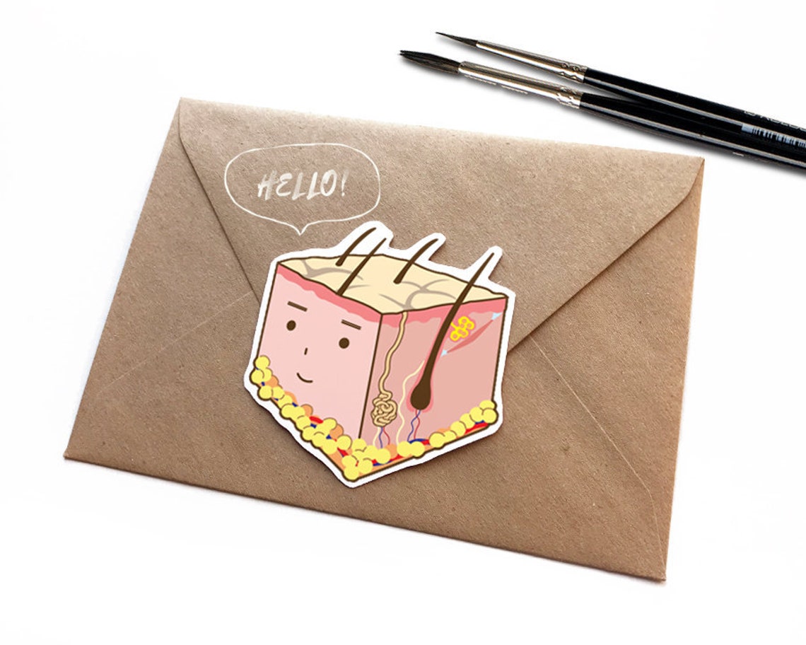 Skin Cell Vinyl Sticker Unique Science Decal Dermatology - Etsy