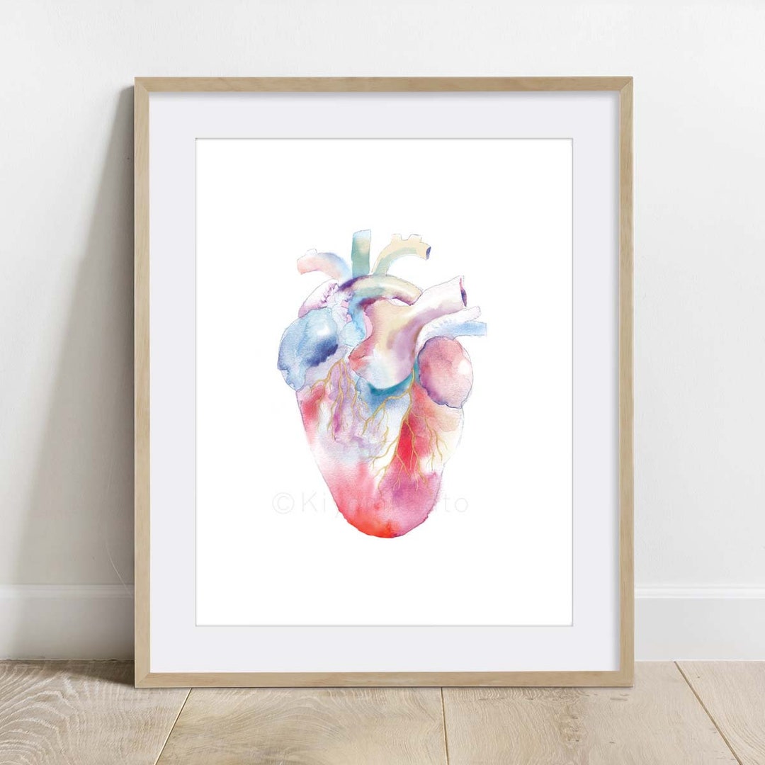 Human Heart Watercolor Painting Poster, Science Art, Biology Anatomy ...