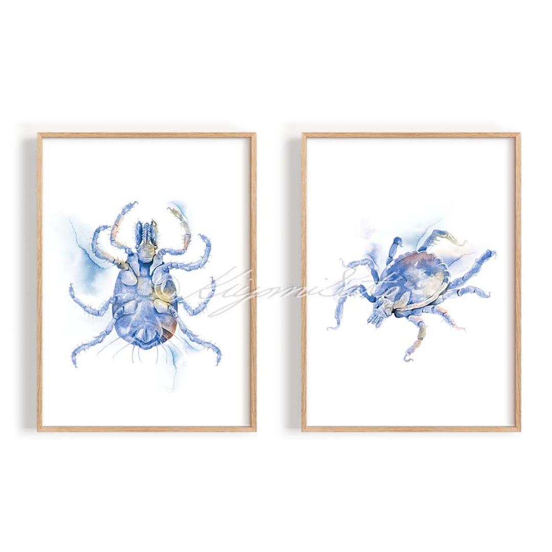 Tick Art Poster Set of 2, Tick Mouth, Body & Side View Wall Decor ...