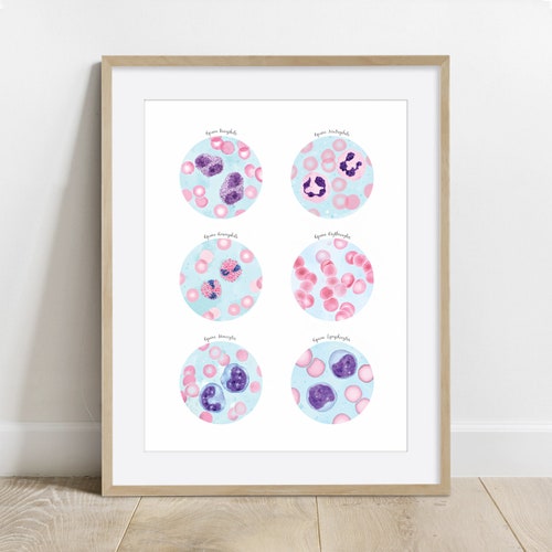 Blood Cells Biology Poster Science Art Print Red Blood - Etsy