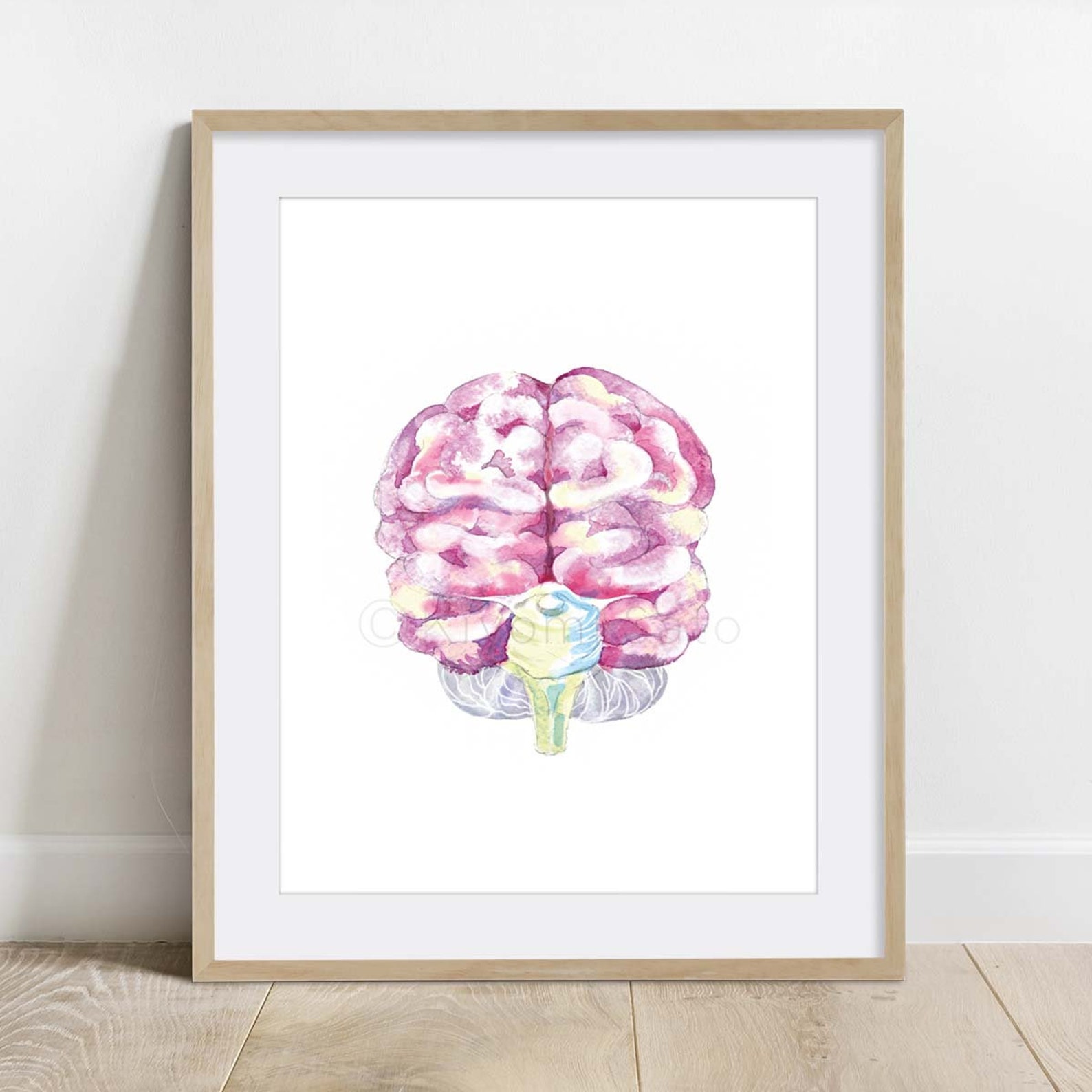 Human Brain Watercolor Painting Poster Science Art Biology - Etsy