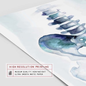 Cervical Spine and Pelvic Girdle Abstract Art Poster Set of 2 ...