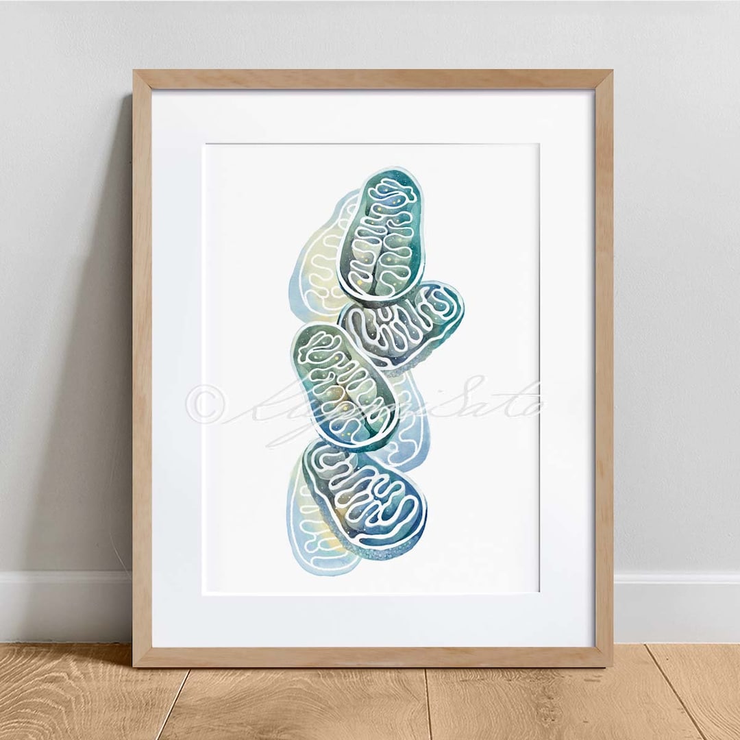 Mitochondria Art Print, Science Art Poster, Biology Print Gifts ...