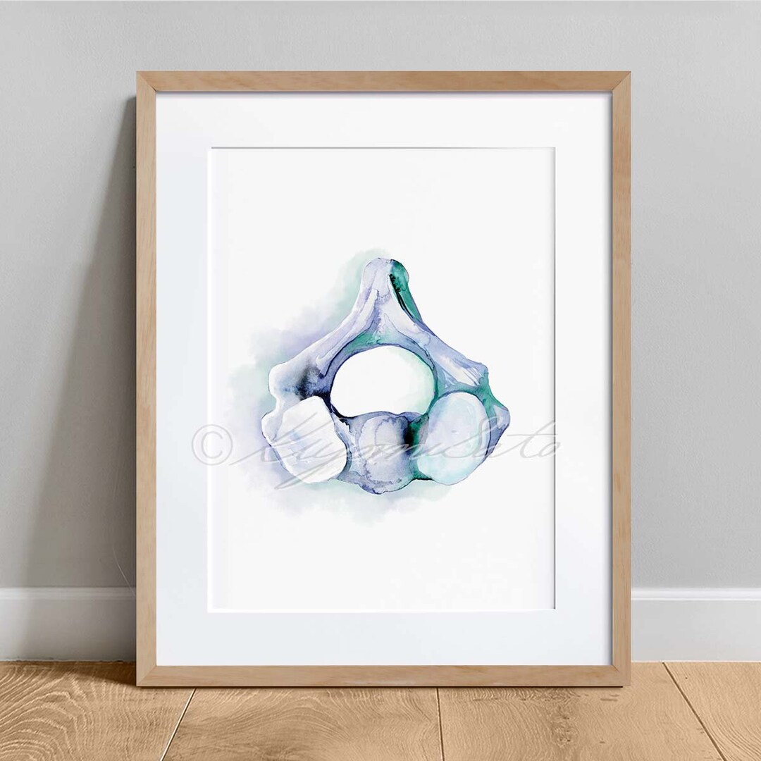 Axis Vertebra Blue Abstract Art Poster, Orthopedics Art, Science Art ...