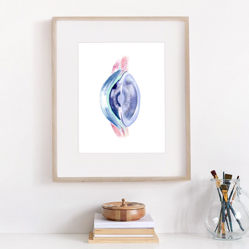 Eye Lens Poster Optometry Science Art Print Ophthalmology - Etsy