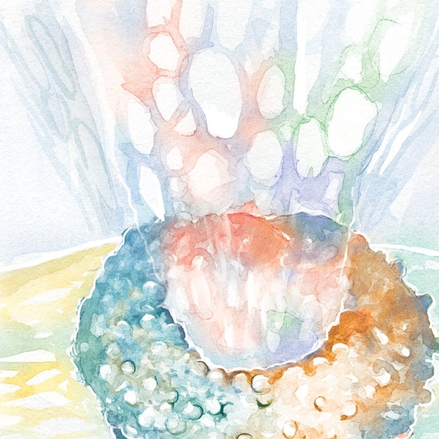 Complement Protein Art Print, Biology Art Poster, Science Art ...