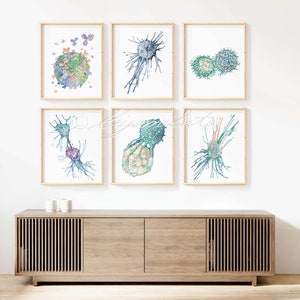 Immune Cells Gallery Art Poster Set of 6, Defensive Cells Art ...