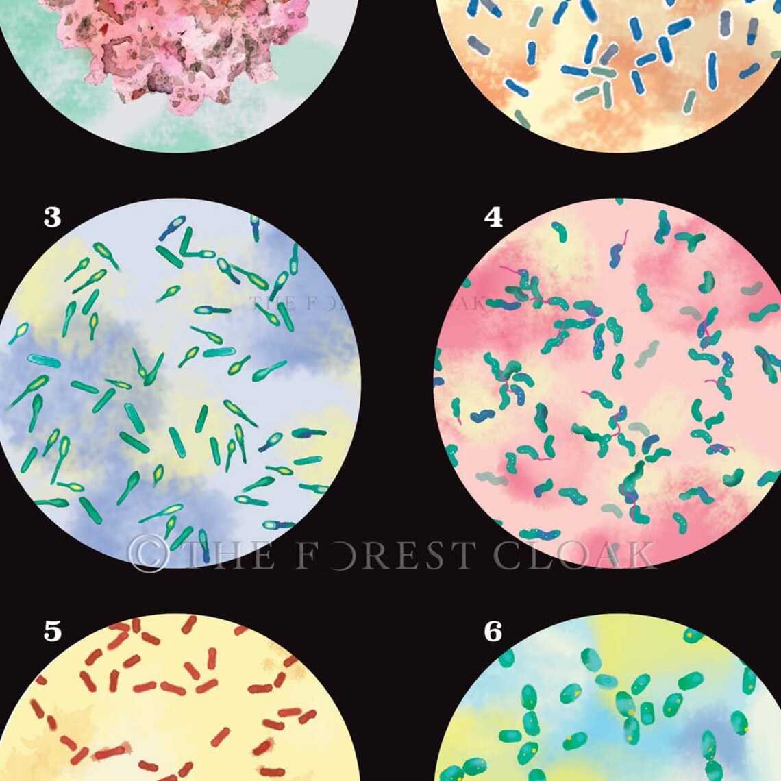 Foodborne Pathogens Collection Poster, Vintage Style Science Art ...