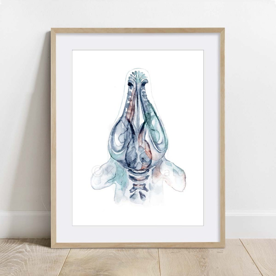 Canine Skull X Ray Art Poster, Veterinary Dental Print, Dog Bone X Ray ...