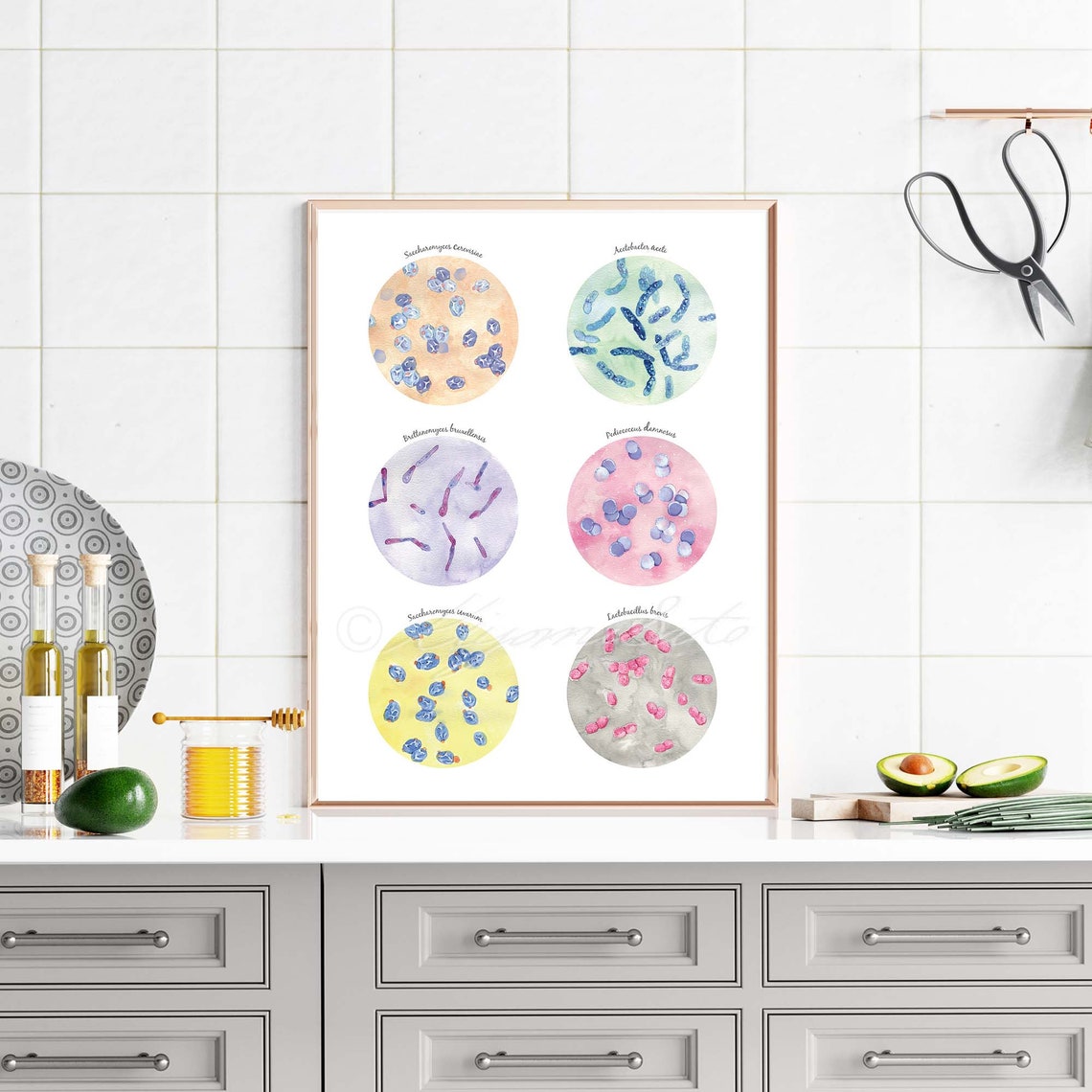 Brewing Microorganism Collection, Microbiology Poster, Science Art ...