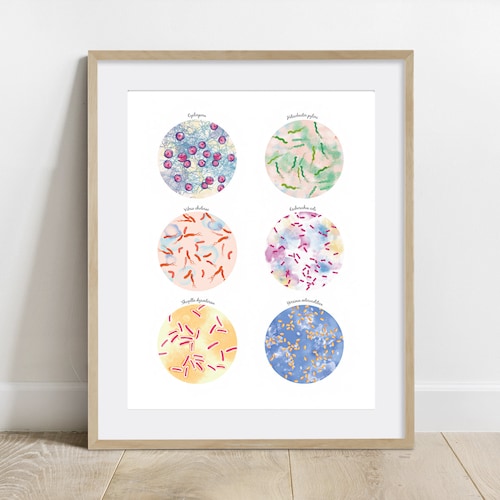 Parasitic Disease Collection Science Art Poster Microbiology - Etsy