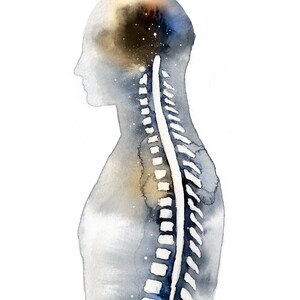 Spine Anatomy Art, Vertebrae Orthopedics Art, Science Art Poster ...