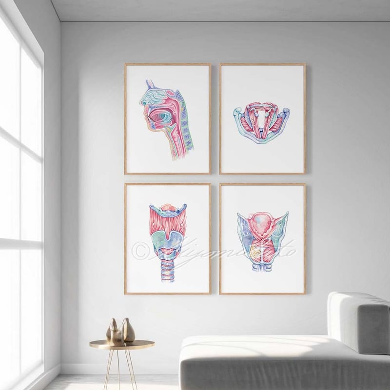 Speech Anatomy Art - Etsy