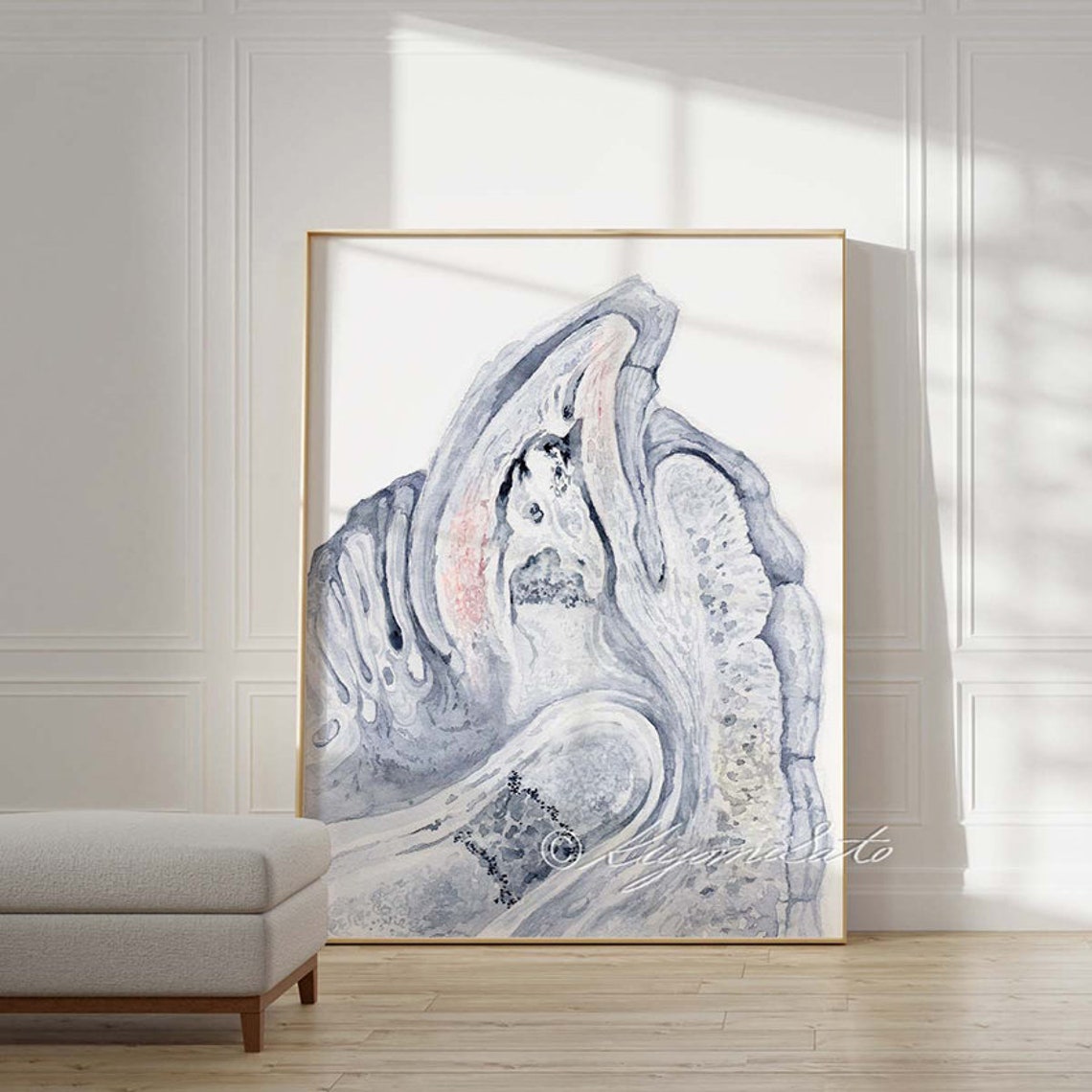Pup Claw Histology Art, Veterinary Histology Art, Canine Anatomy Art ...