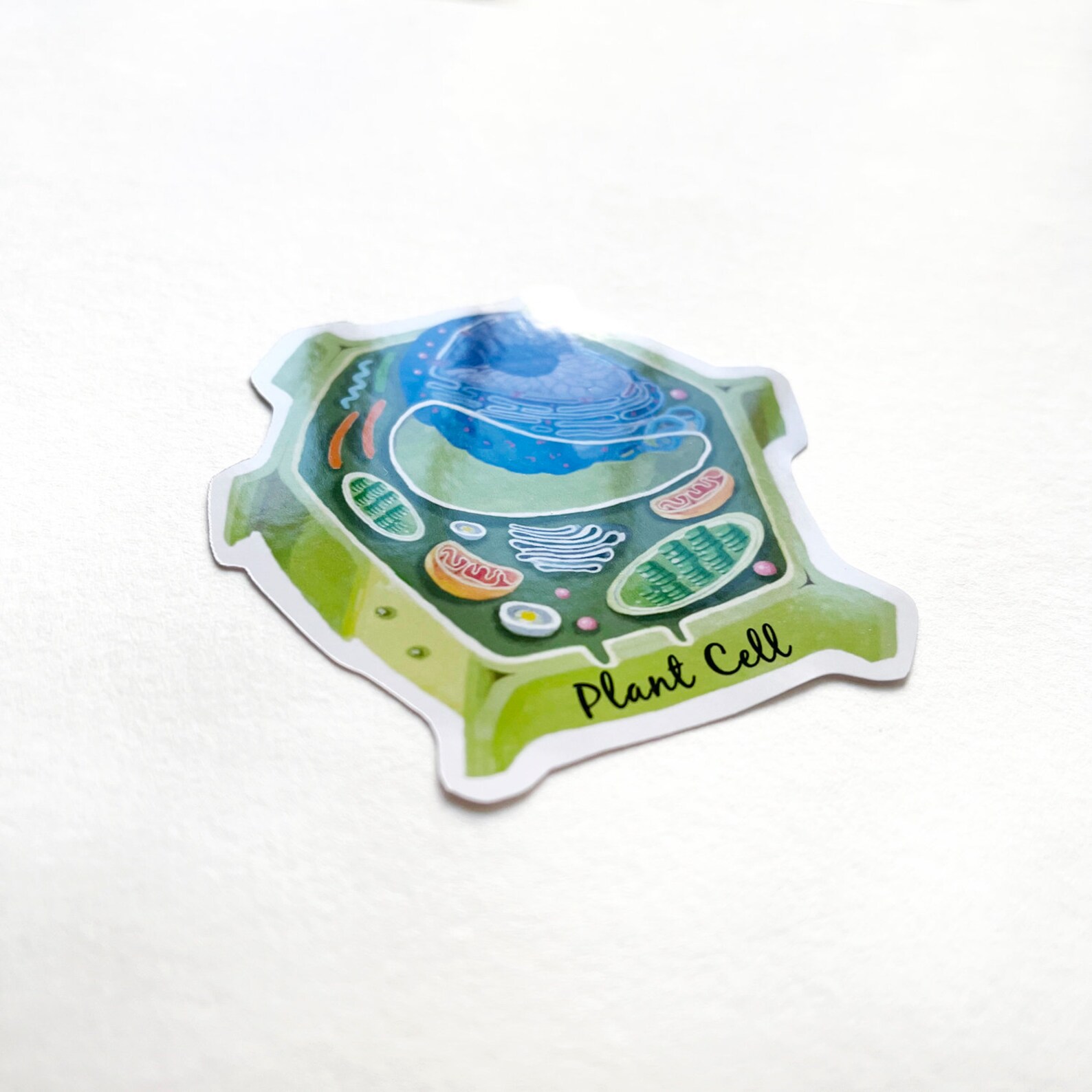 Cell Sticker Set of 3 Animal Cell Bacteria Cell Plant Cell | Etsy