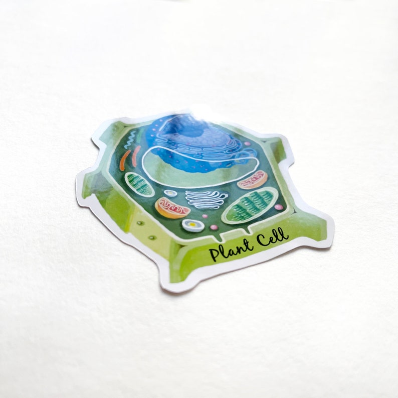 Cell Sticker Set of 3 Animal Cell Bacteria Cell Plant Cell | Etsy