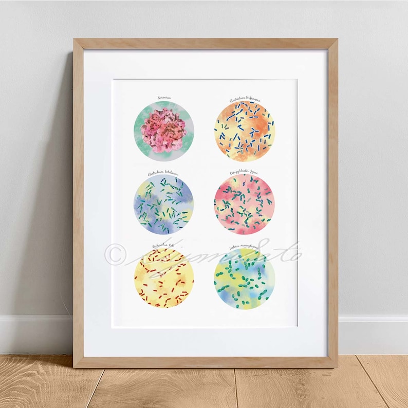 Foodborne Pathogens Collection Poster, Bacteria Science Art ...